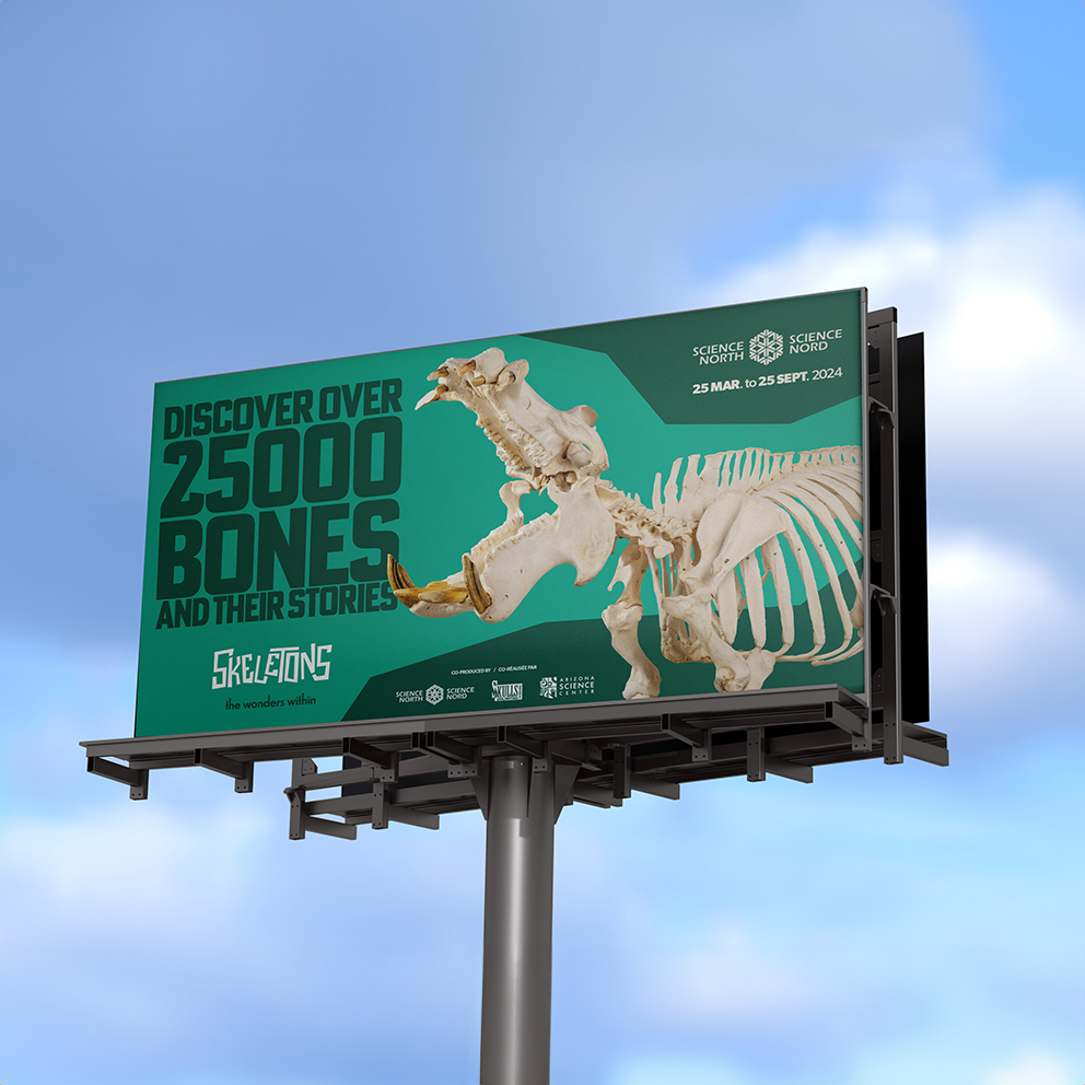 Skeletons – Science North | Cayenne Creative